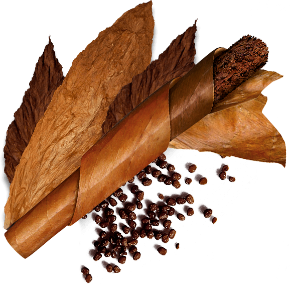 Cigar Sommelier
